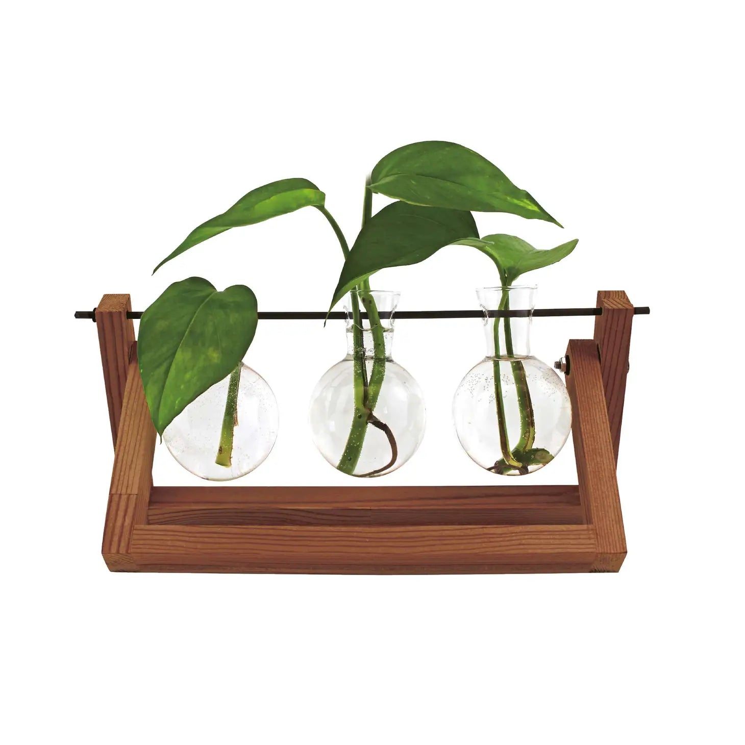 Prop Vase - Triple – Safa Plant Co